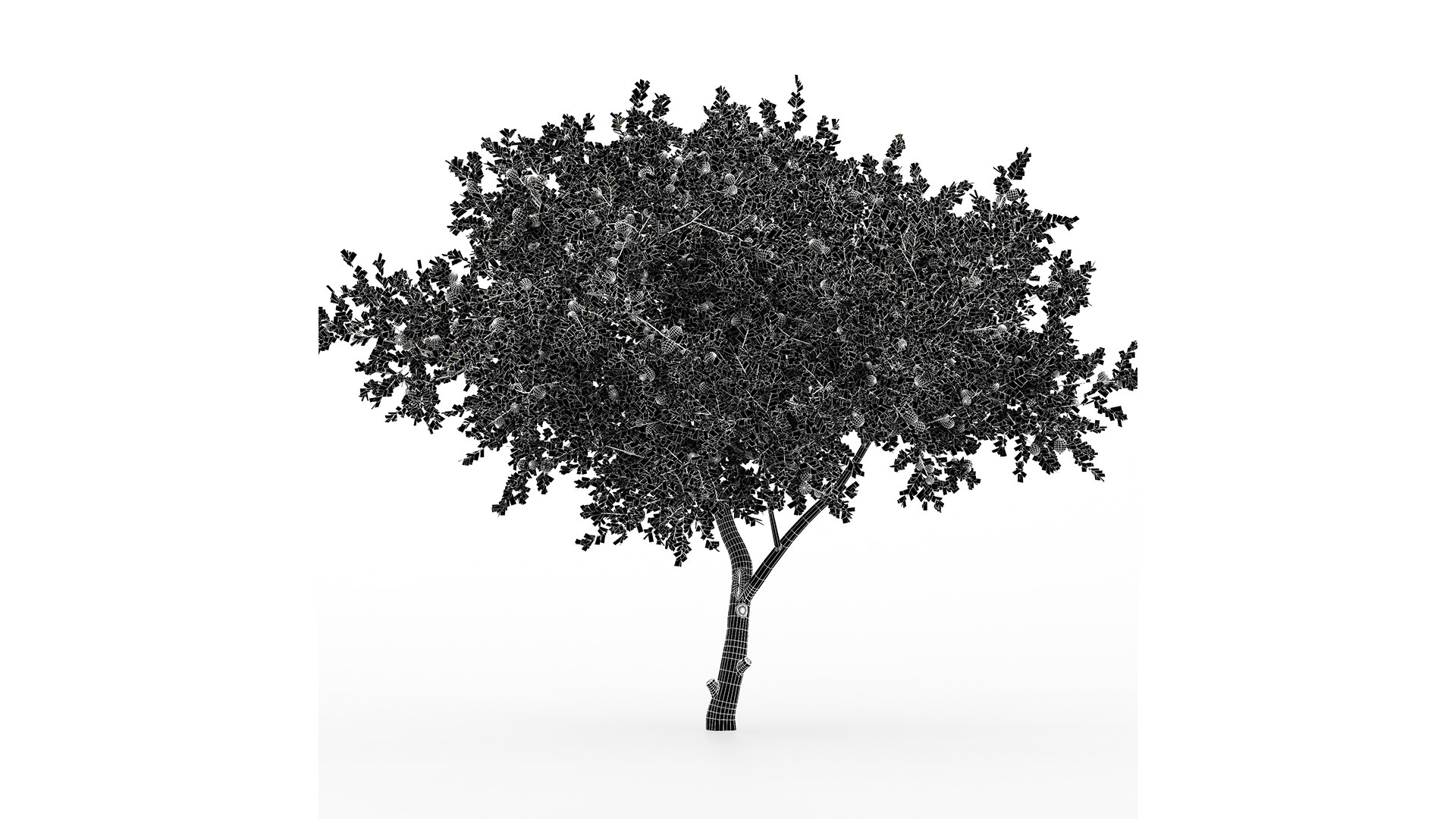 3D Orange Fruit Tree Model - TurboSquid 2254031