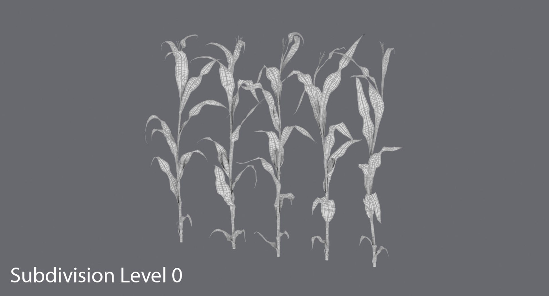 3D Corn-stalks-and-patch---row Model - TurboSquid 1344456
