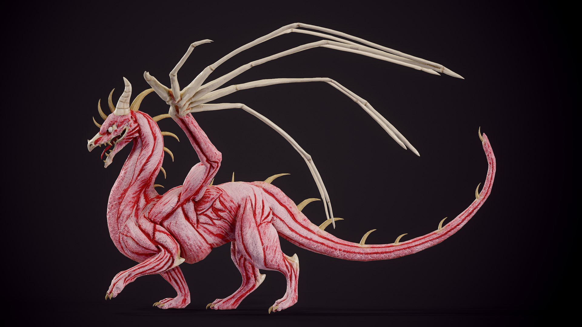 dragon muscle structure