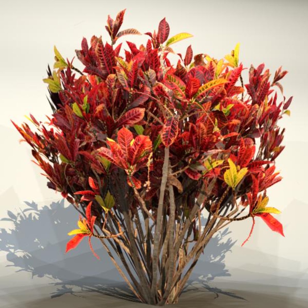 pc bush 3d model