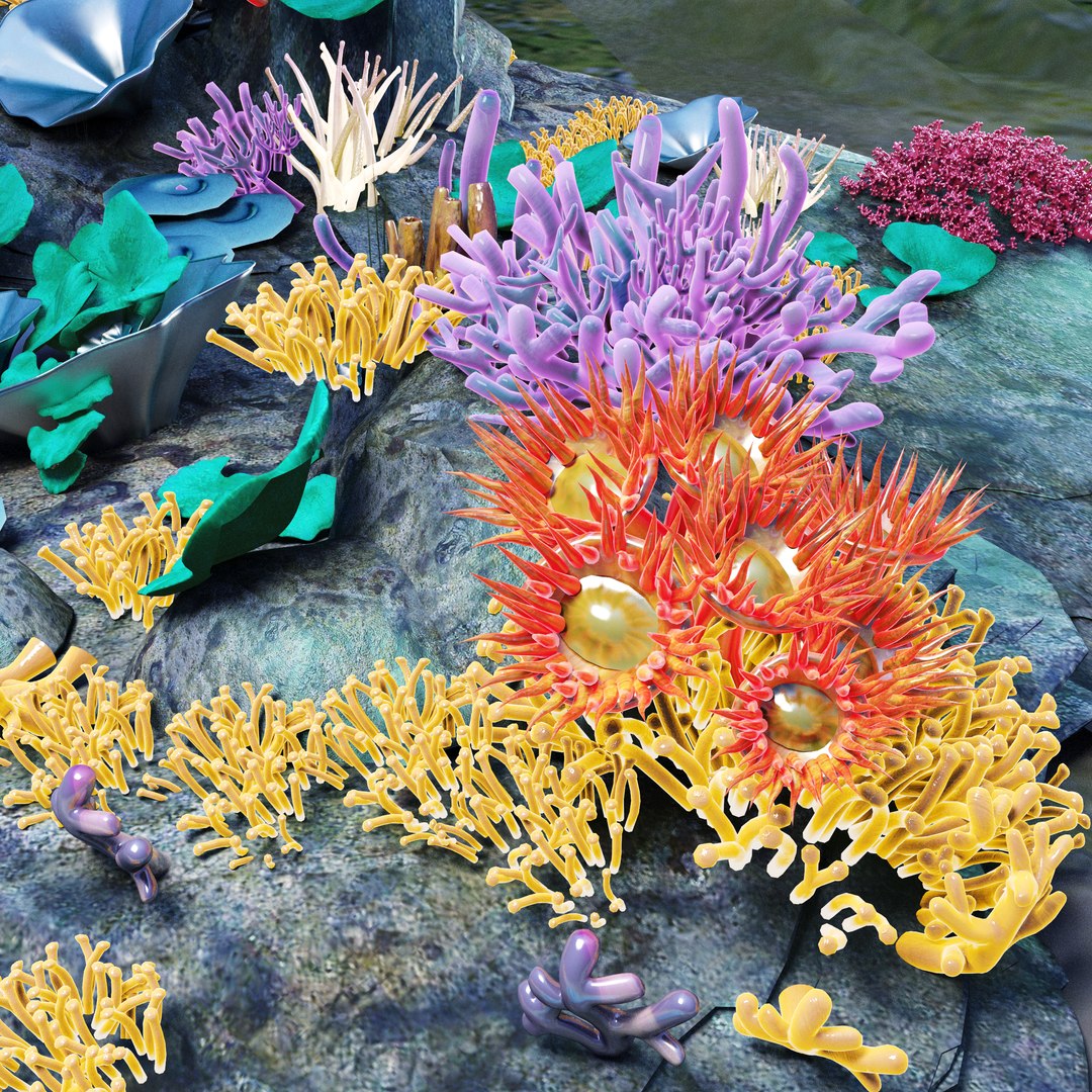 Sea Undersea Model - TurboSquid 1411879