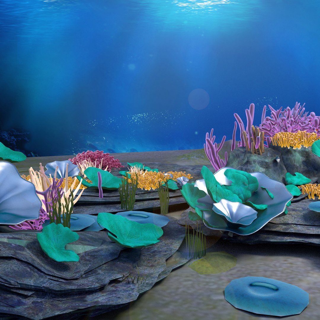 Sea Undersea Model - TurboSquid 1411879