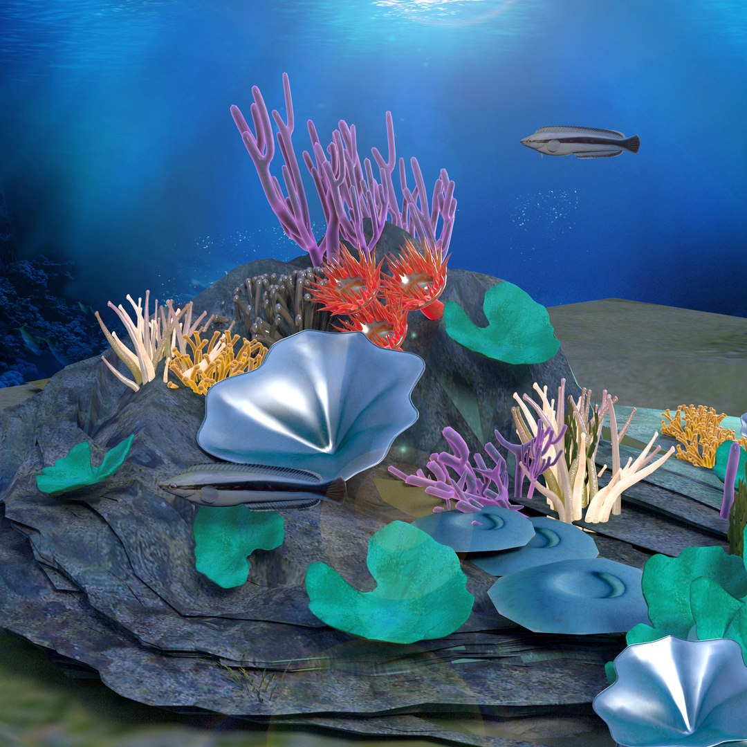 Sea Undersea Model - TurboSquid 1411879