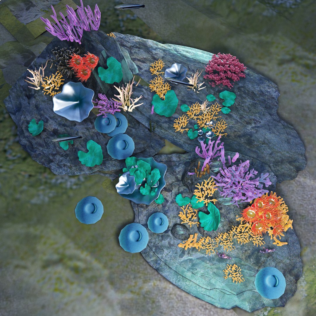 Sea Undersea Model - TurboSquid 1411879