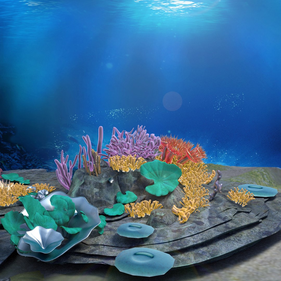 Sea Undersea Model - TurboSquid 1411879