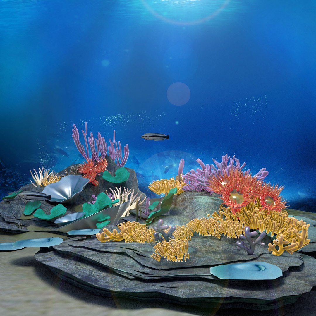 Sea Undersea Model - TurboSquid 1411879