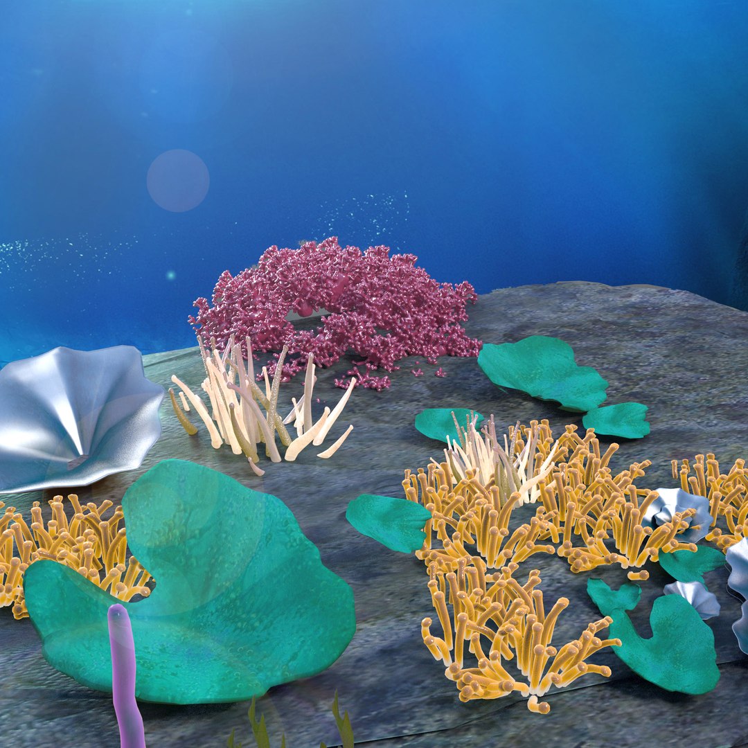 Sea Undersea Model - TurboSquid 1411879