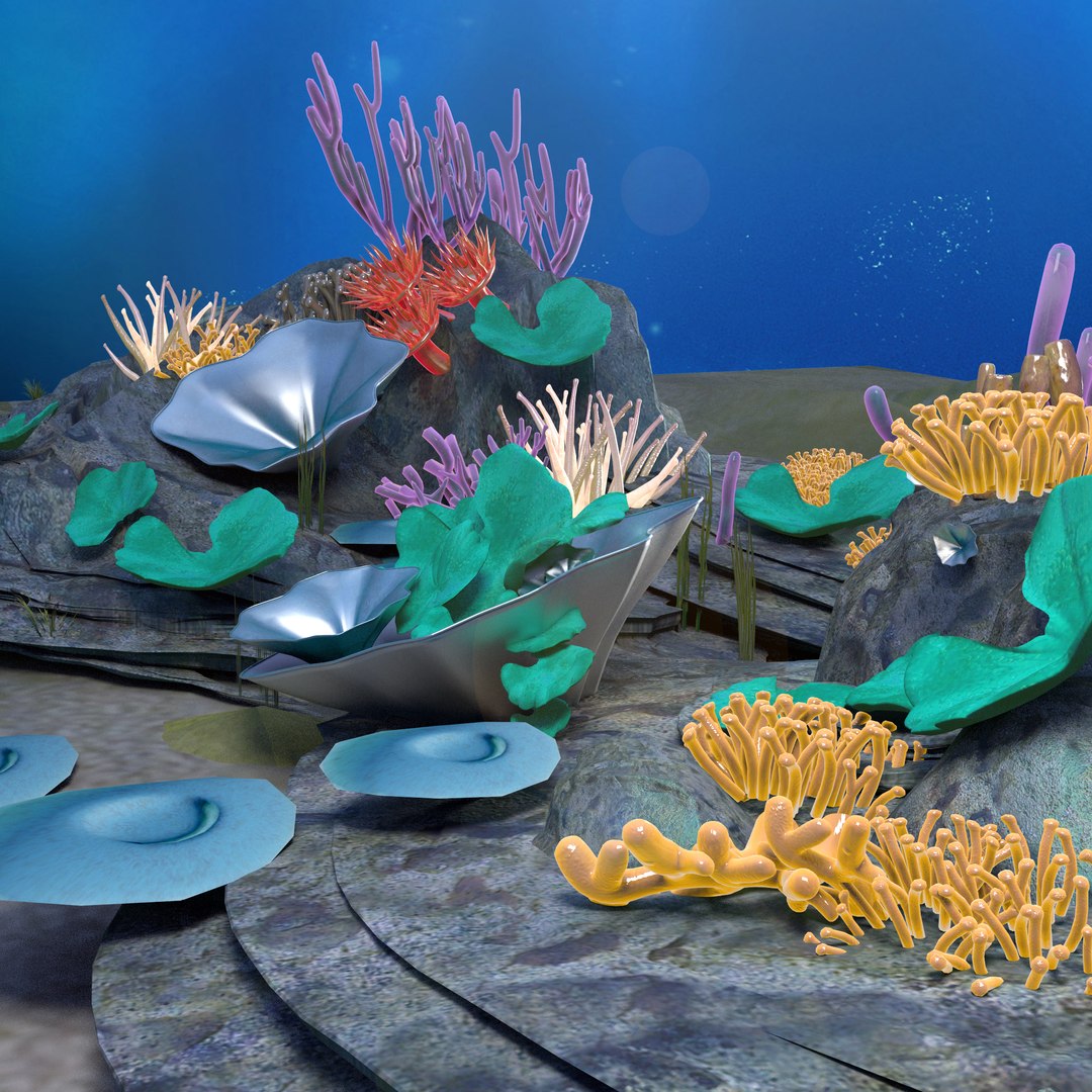 Sea Undersea Model - TurboSquid 1411879