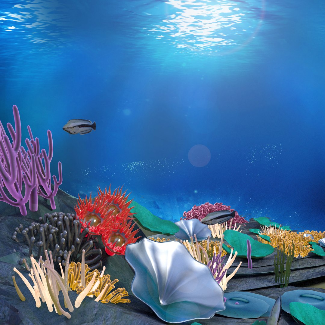 Sea Undersea Model - TurboSquid 1411879