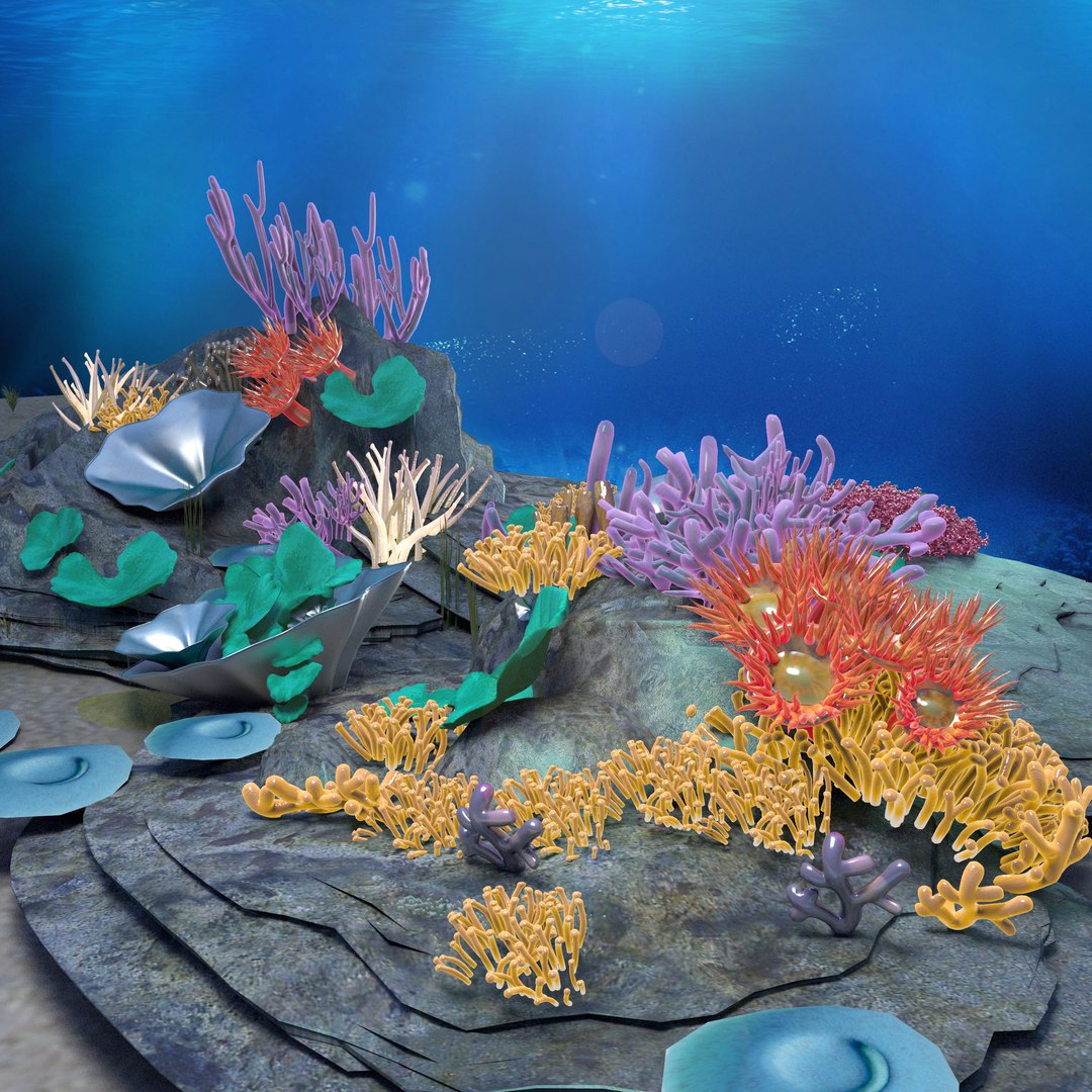 Sea Undersea Model - TurboSquid 1411879