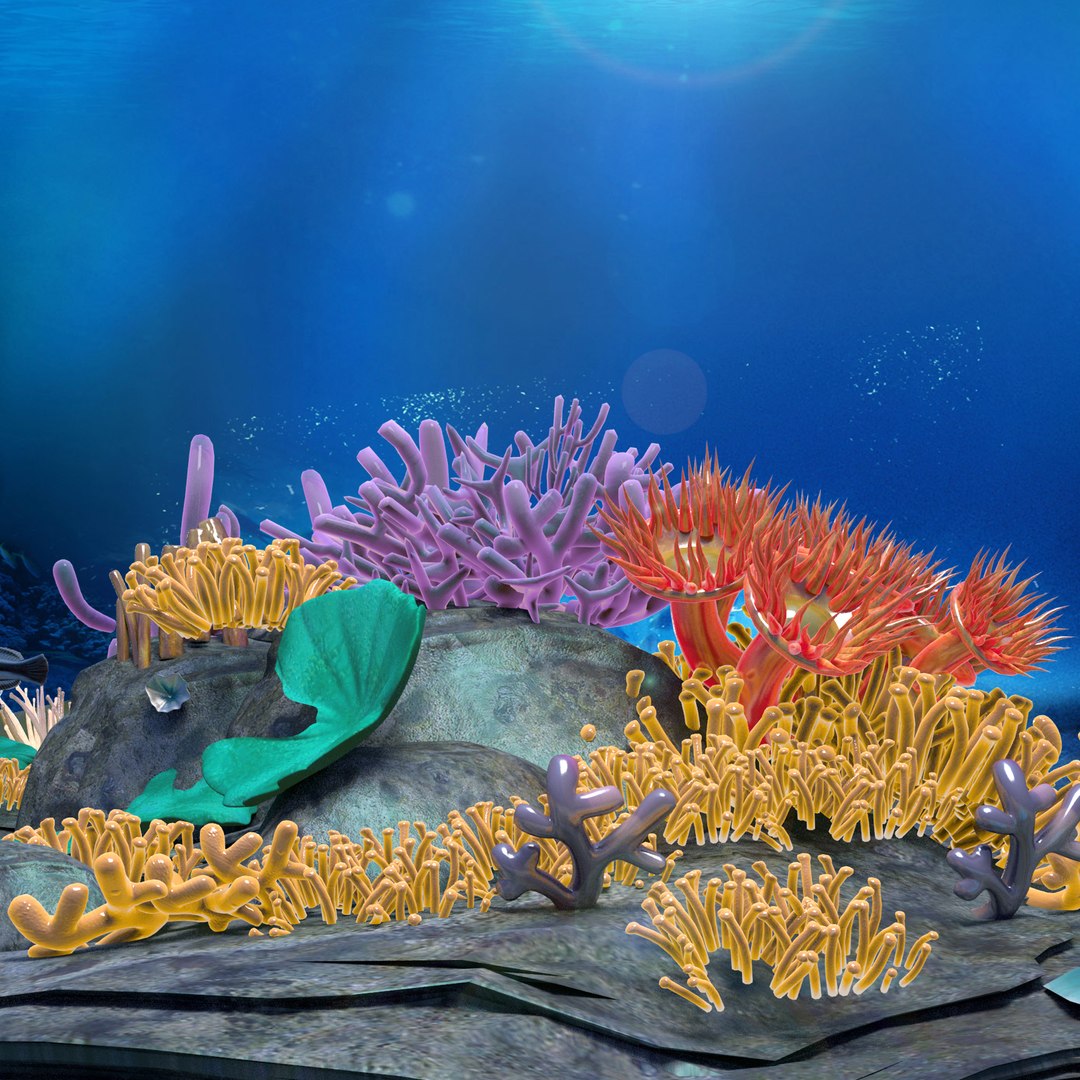 Sea Undersea Model - TurboSquid 1411879