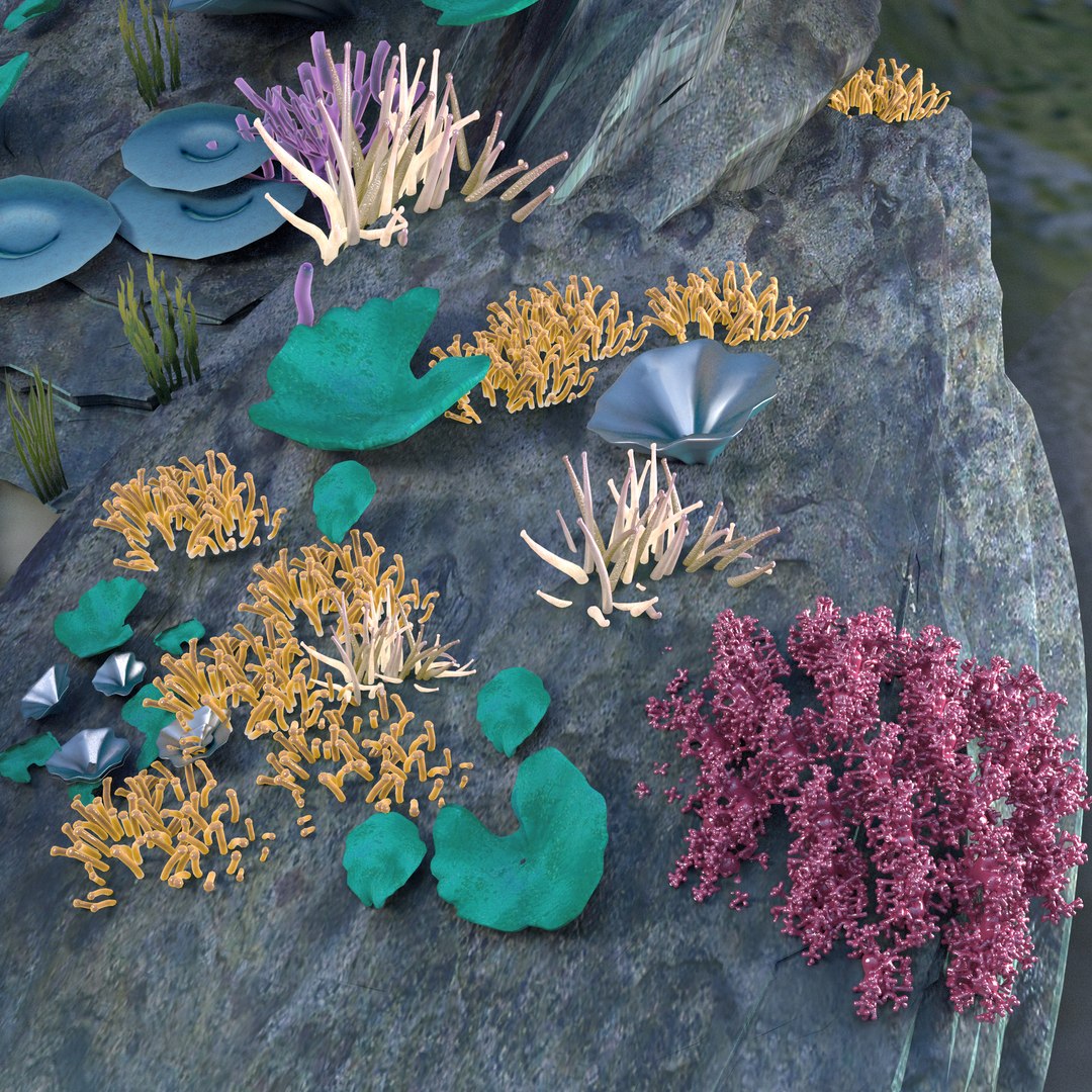 Sea Undersea Model - TurboSquid 1411879