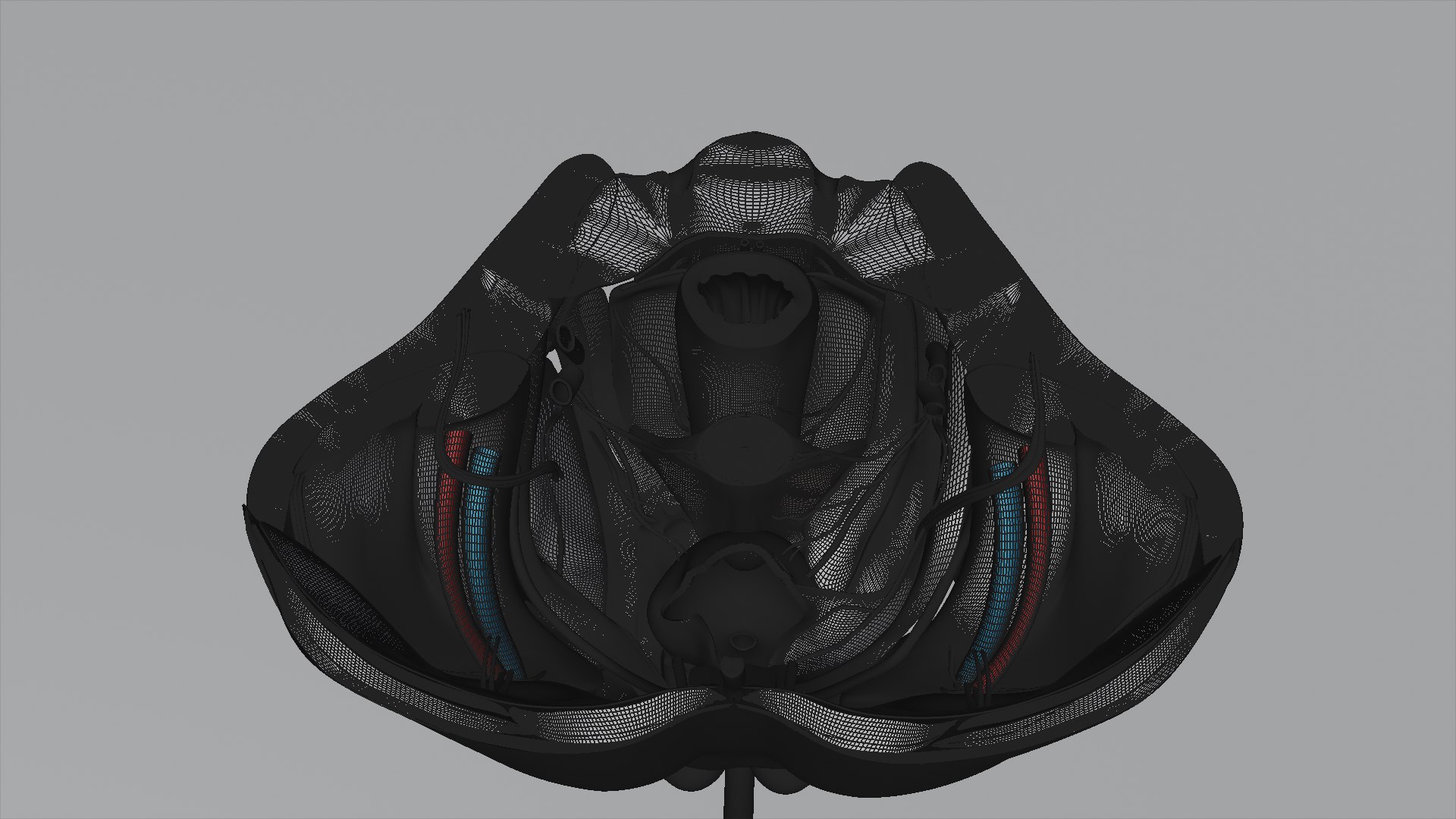 3D Endopelvic Fascia And Potential Spaces - TurboSquid 1966729
