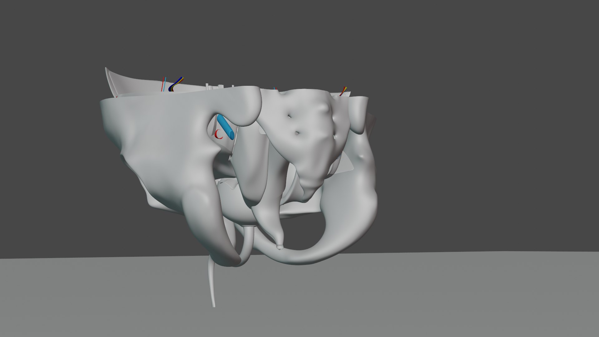 3D Endopelvic Fascia And Potential Spaces - TurboSquid 1966729