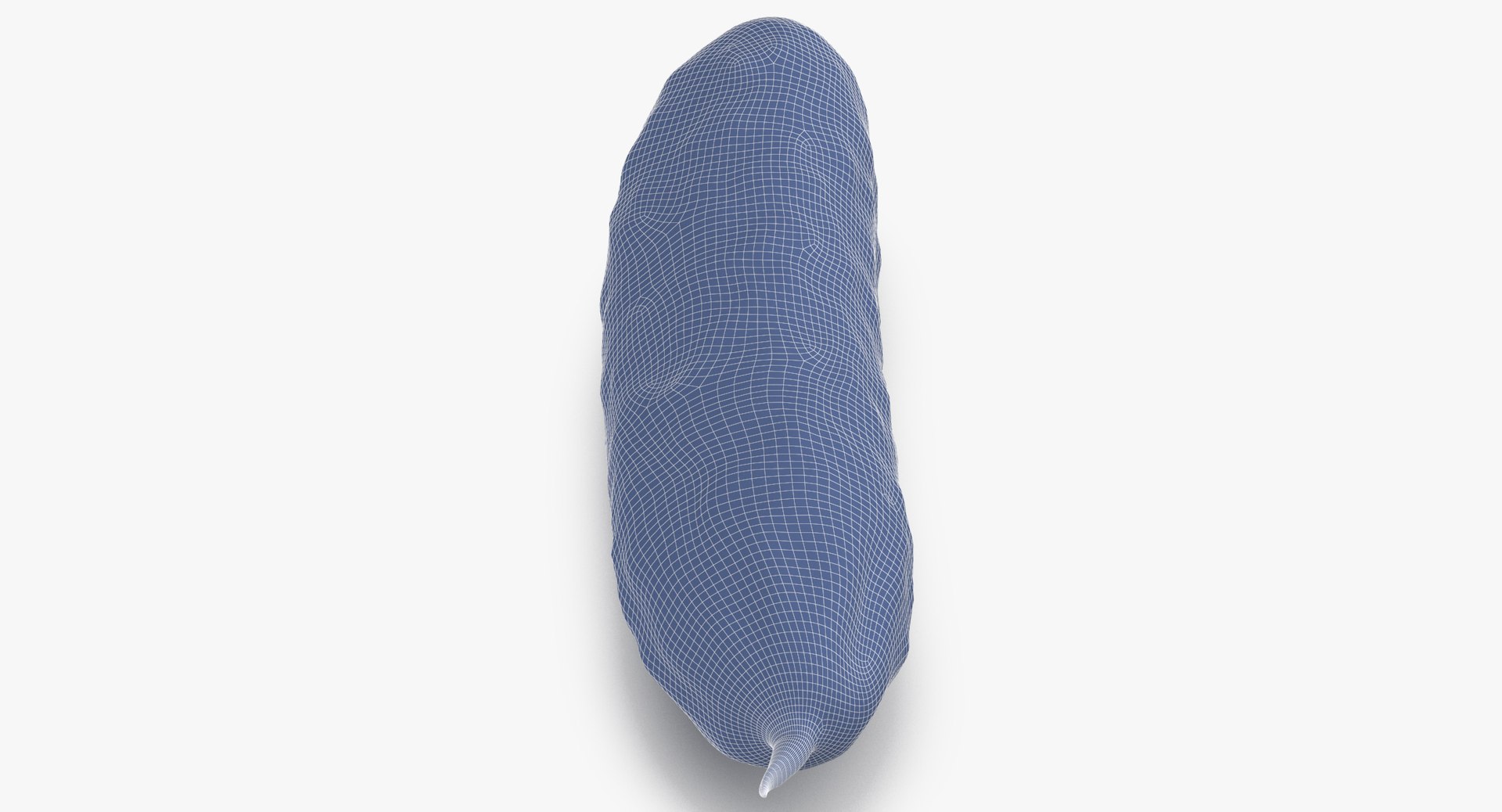 Cucumber 01 3D Model - TurboSquid 1354322