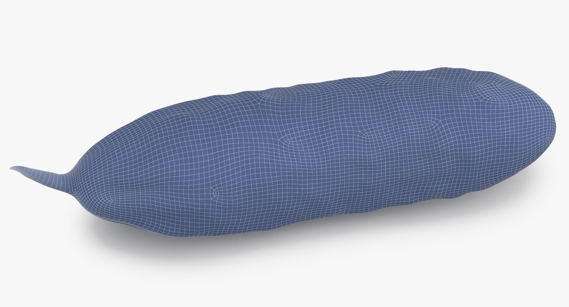 Cucumber 01 3D Model - TurboSquid 1354322