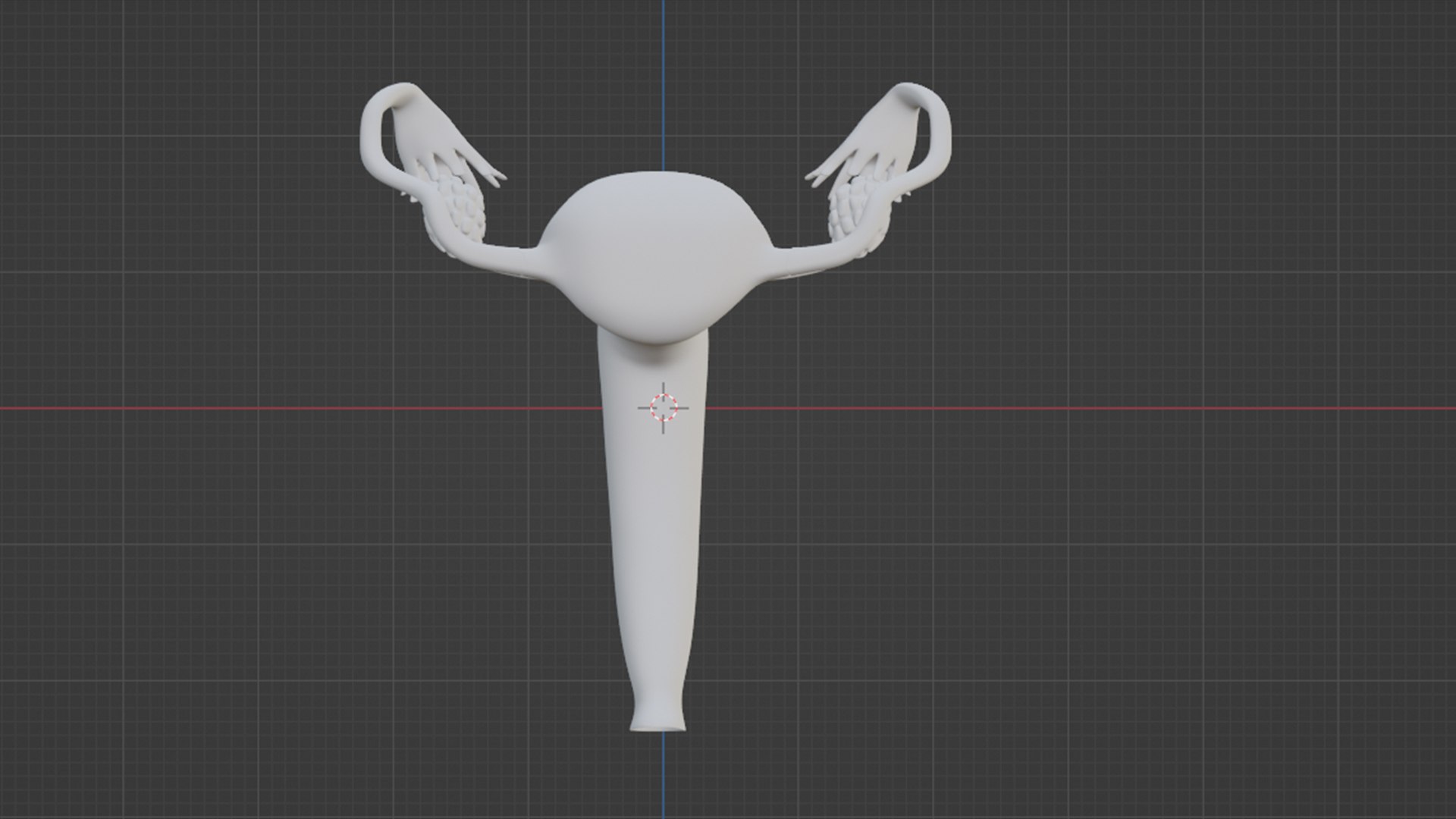 3D Model Of Female Reproductive System Model - TurboSquid 2076753