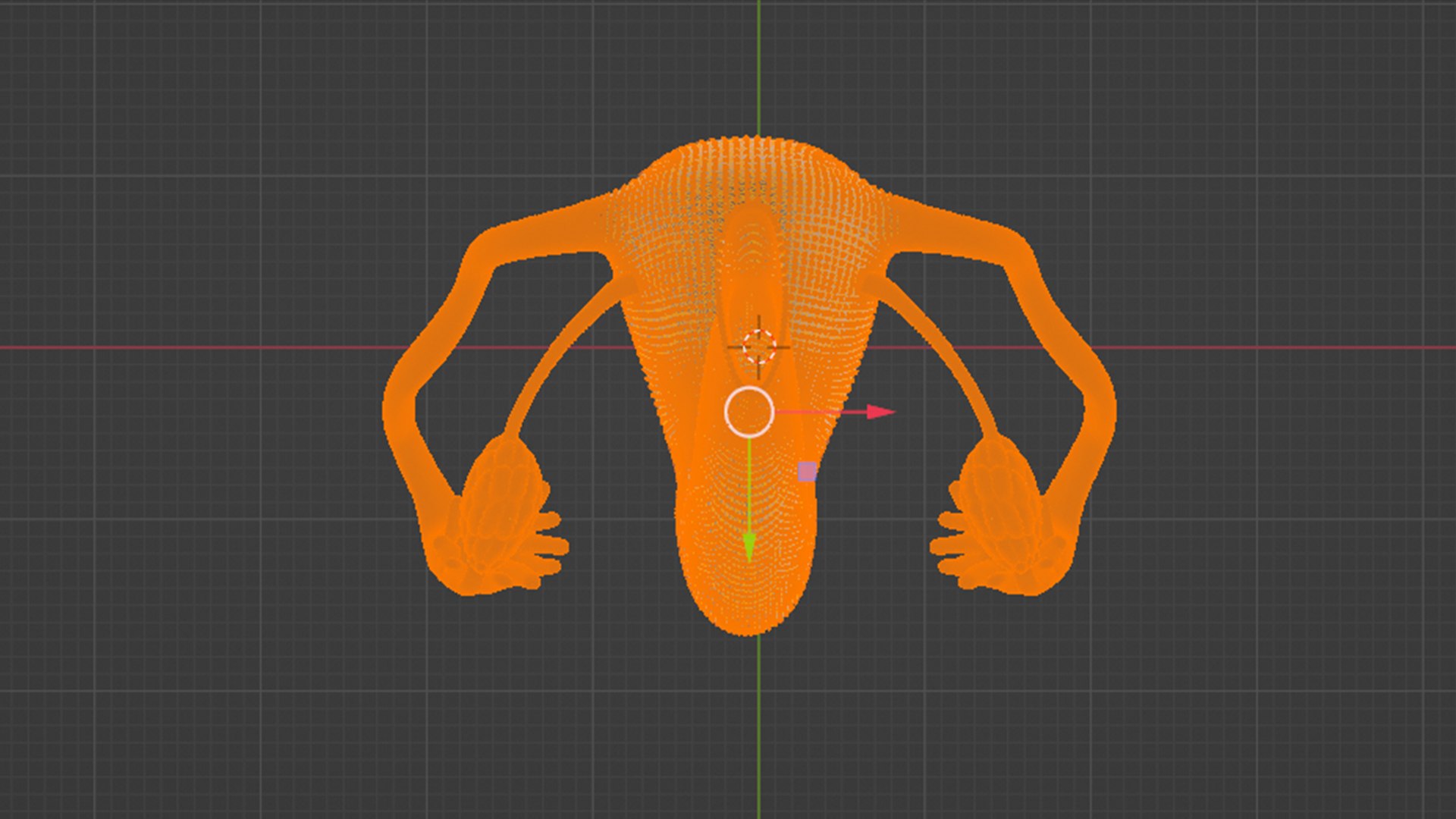 3D Model Of Female Reproductive System Model - TurboSquid 2076753