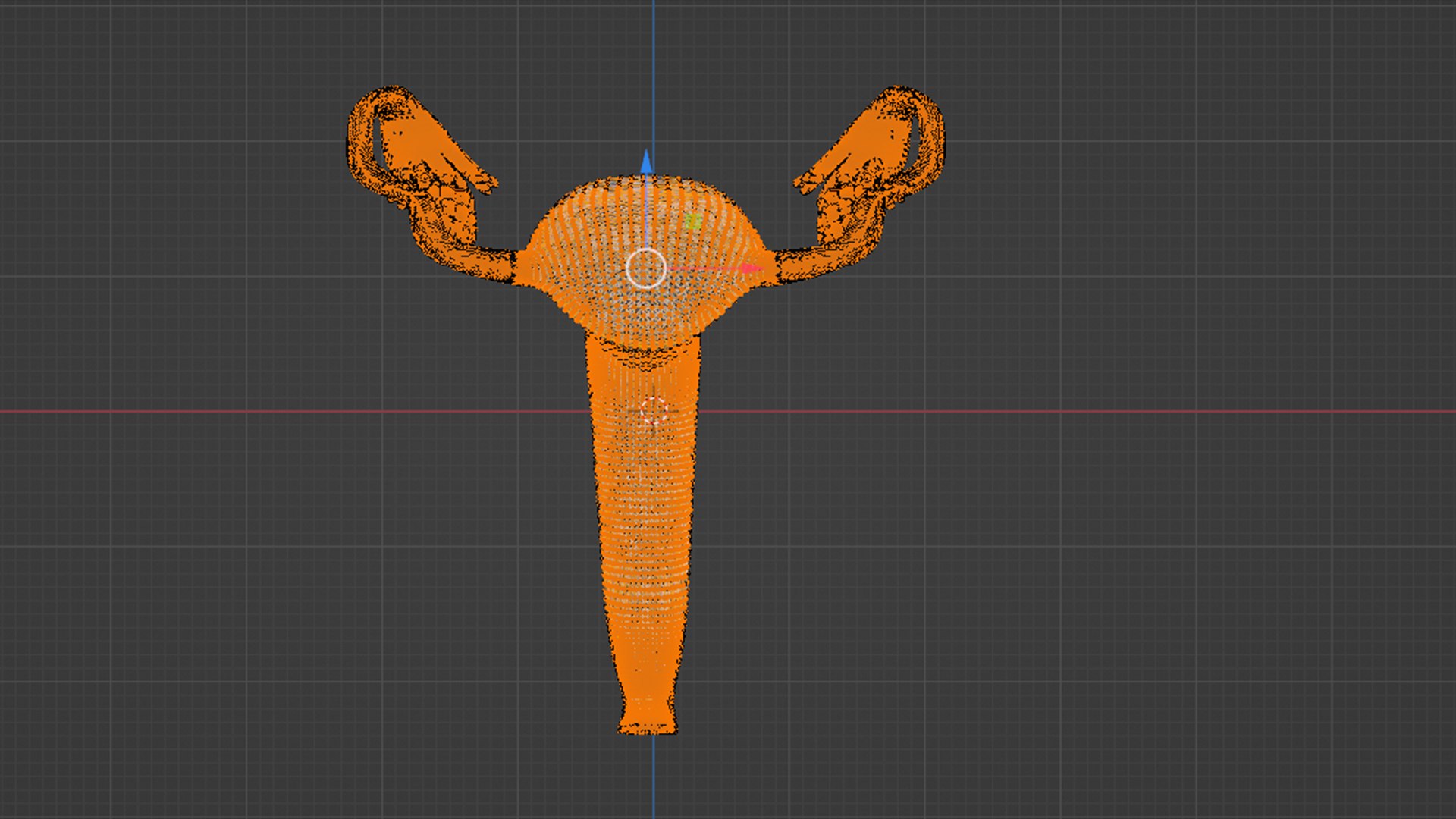 3D Model Of Female Reproductive System Model - TurboSquid 2076753