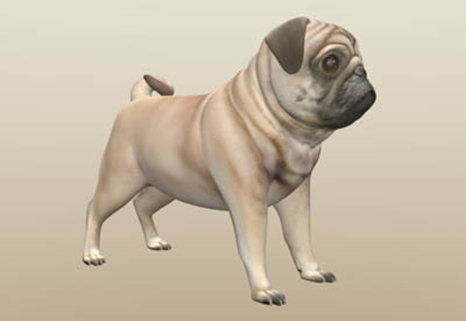 3d Model Pug Dog