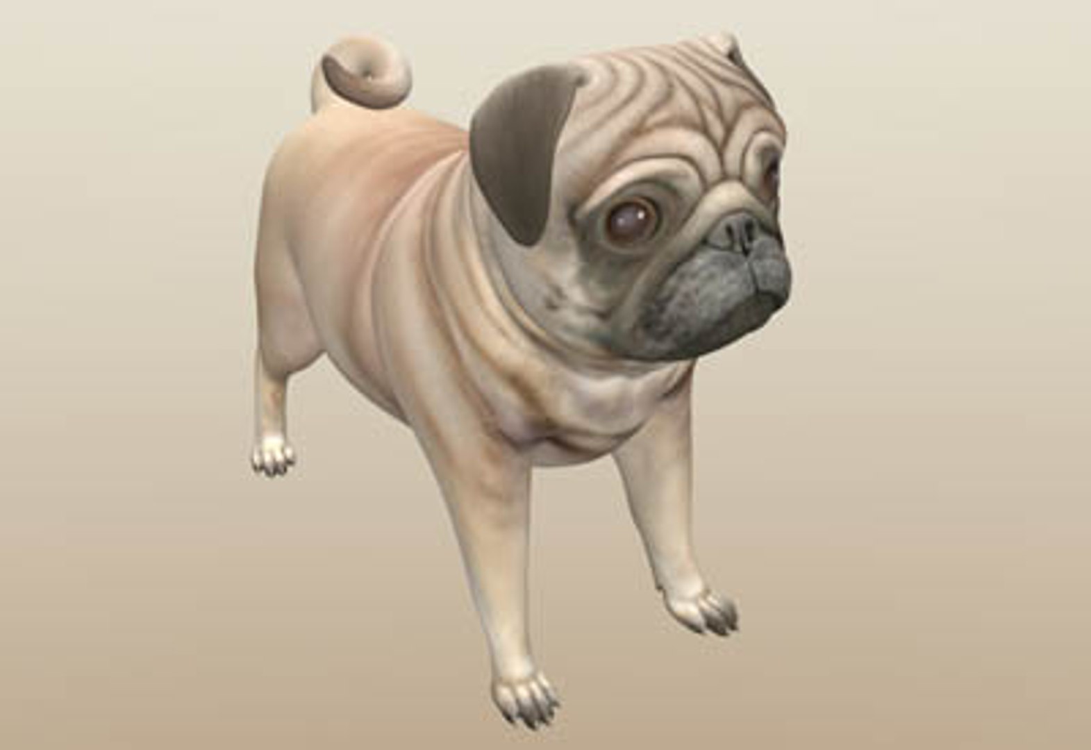 3d Model Pug Dog