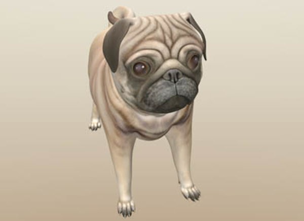 3d model pug dog