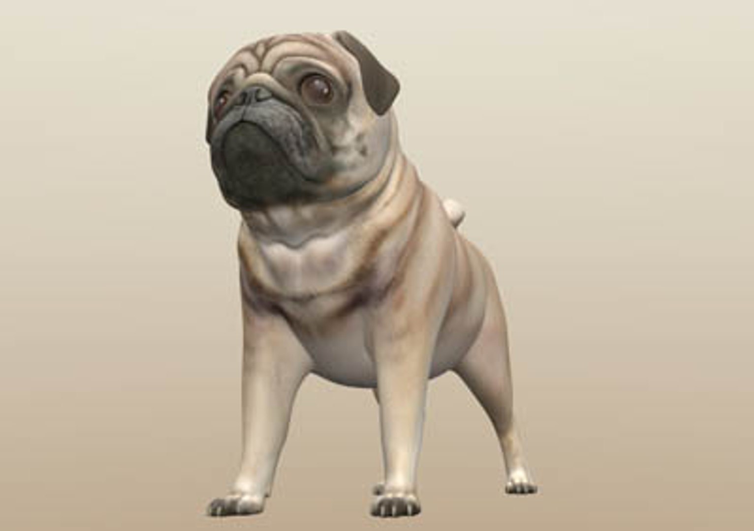 3d Model Pug Dog