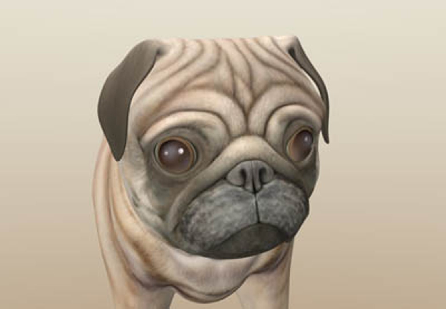 3d Model Pug Dog