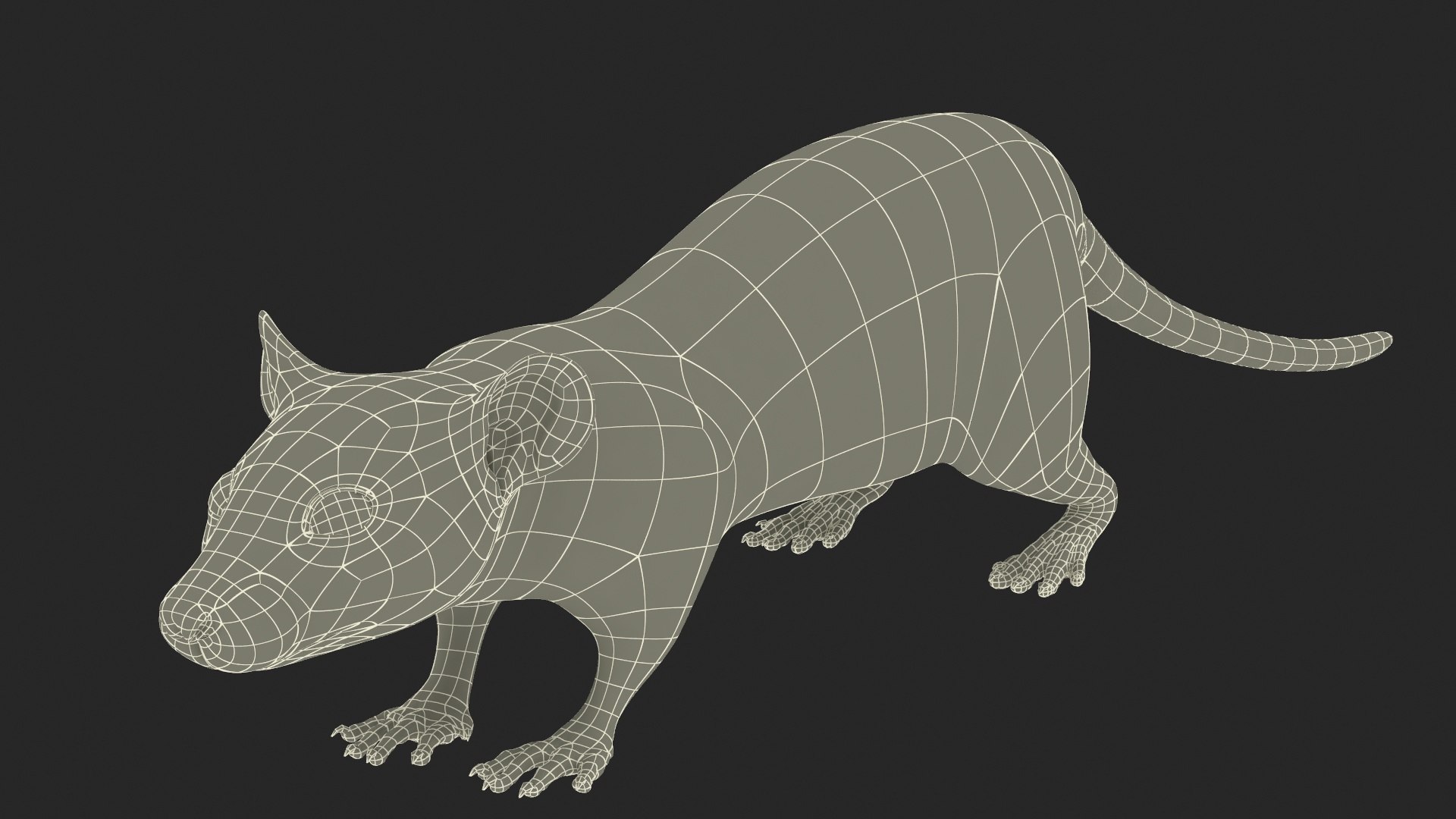 Dumbo Rat Rigged Fur 3D Model - TurboSquid 2376821