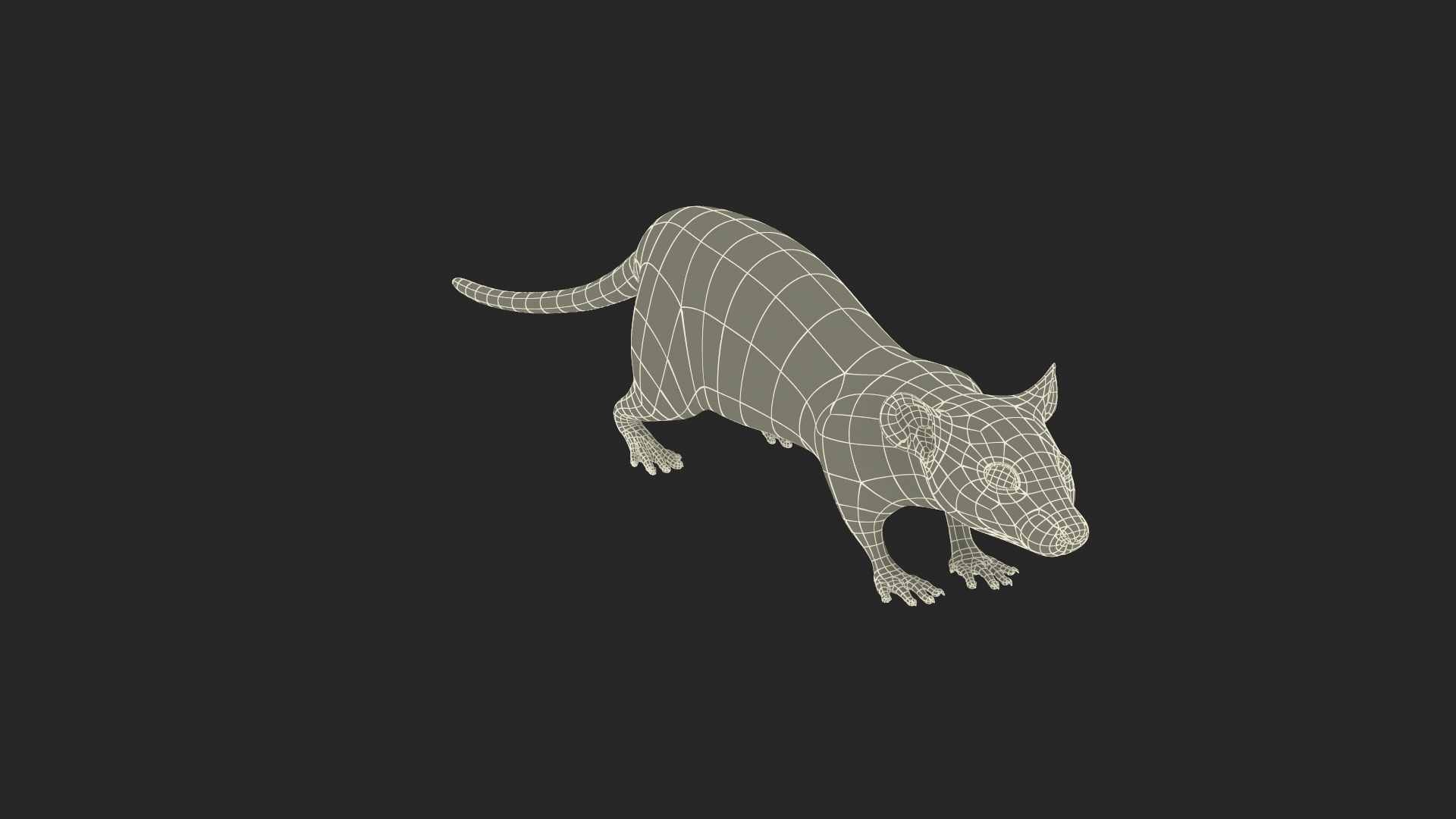 Dumbo Rat Rigged Fur 3D Model - TurboSquid 2376821