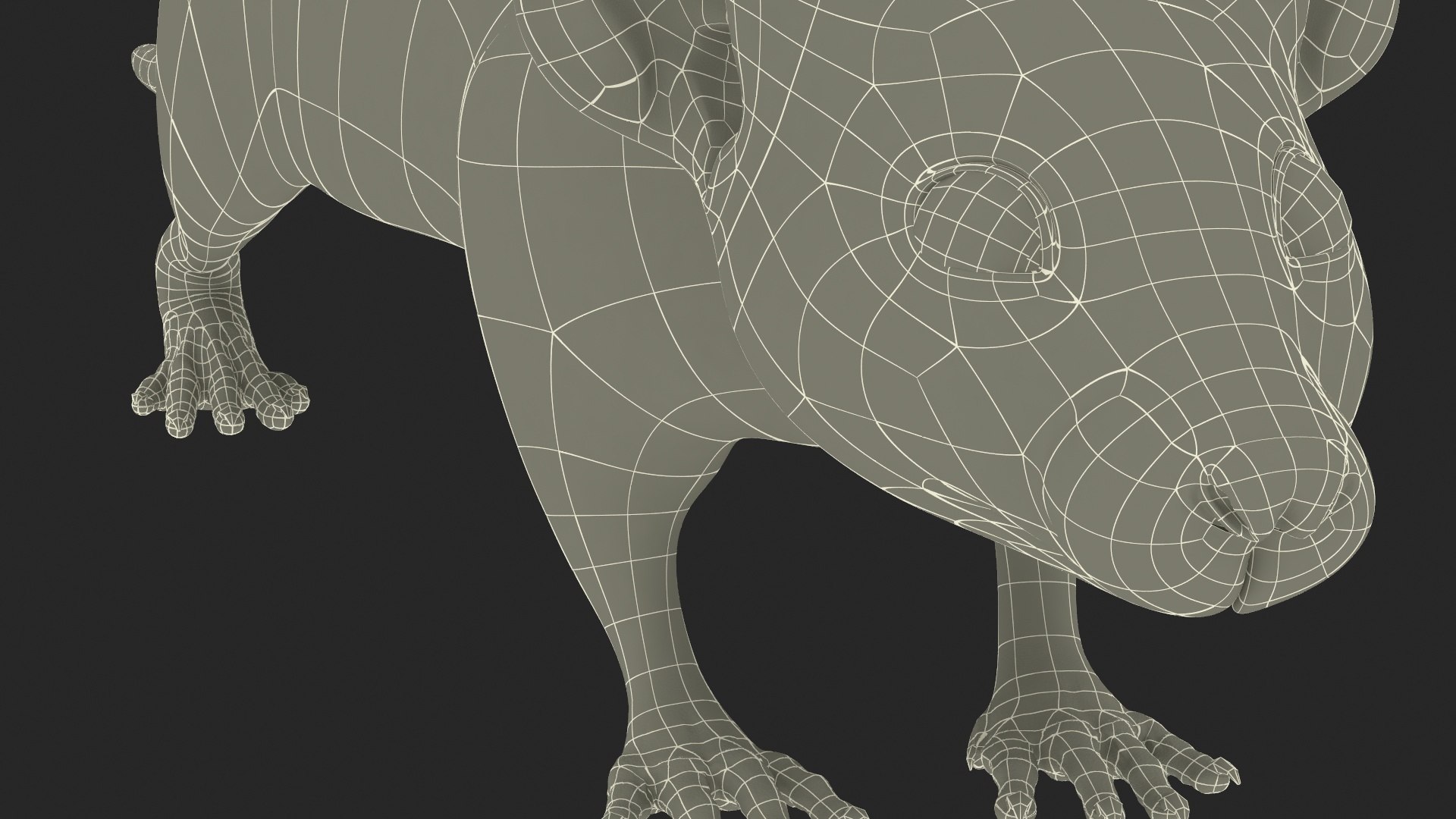 Dumbo Rat Rigged Fur 3D Model - TurboSquid 2376821