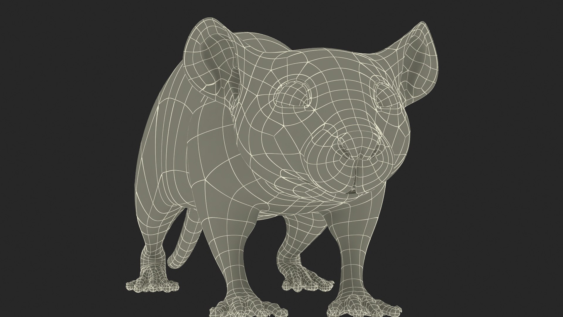 Dumbo Rat Rigged Fur 3D Model - TurboSquid 2376821