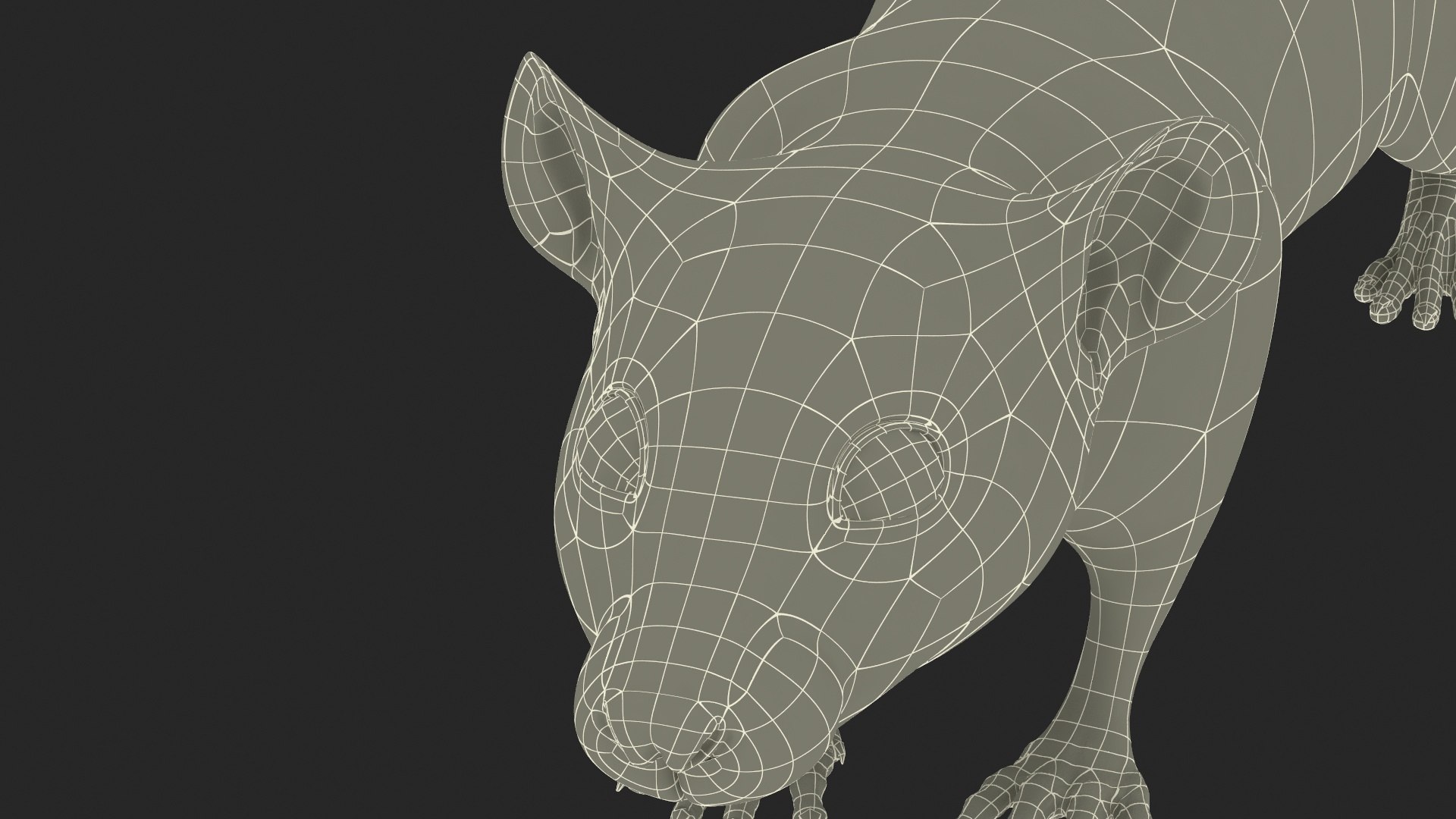 Dumbo Rat Rigged Fur 3D Model - TurboSquid 2376821