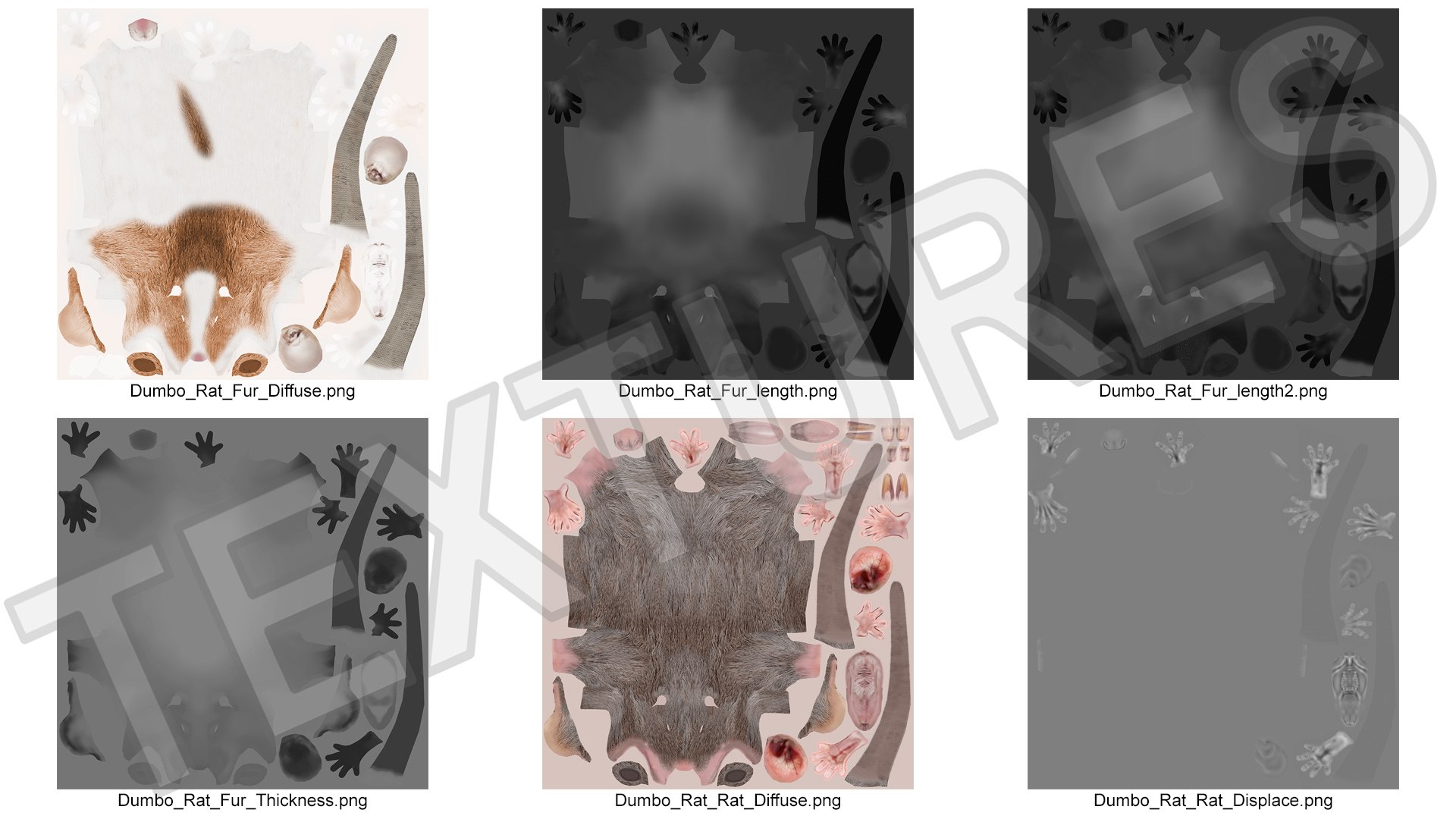 Dumbo Rat Rigged Fur 3D Model - TurboSquid 2376821