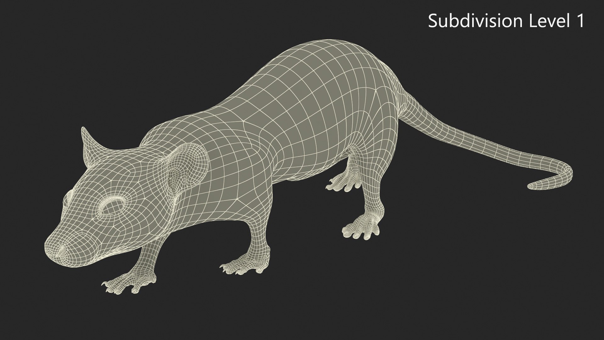 Dumbo Rat Rigged Fur 3D Model - TurboSquid 2376821