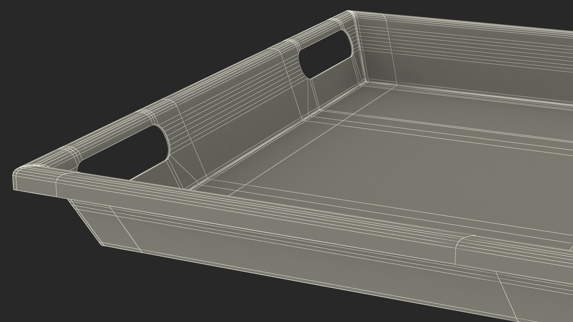3D Standard Body Tray - TurboSquid 1971786