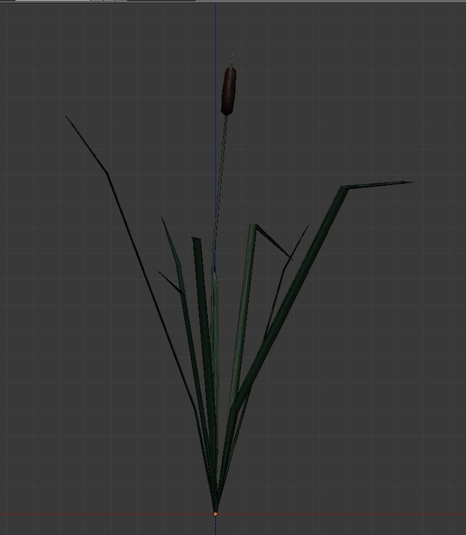 3d Reed Model