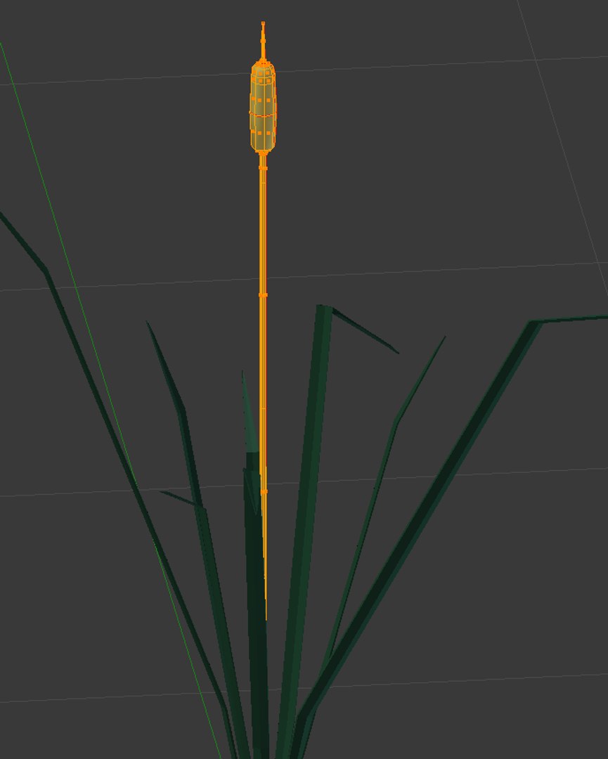 3d Reed Model