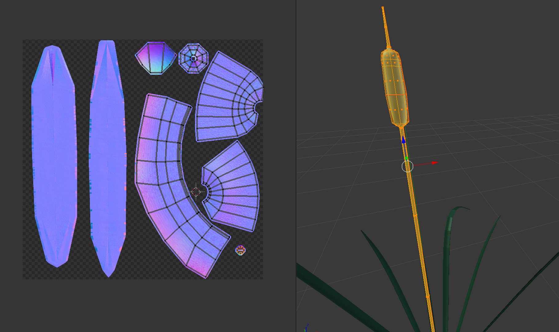 3d Reed Model