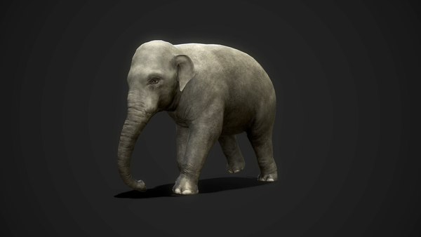 3D animal mammal elephant - TurboSquid 1678138