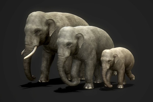 Nature African-Elephant Unity Models for Download | TurboSquid