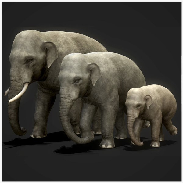 maya photorealistic baby elephant fur
