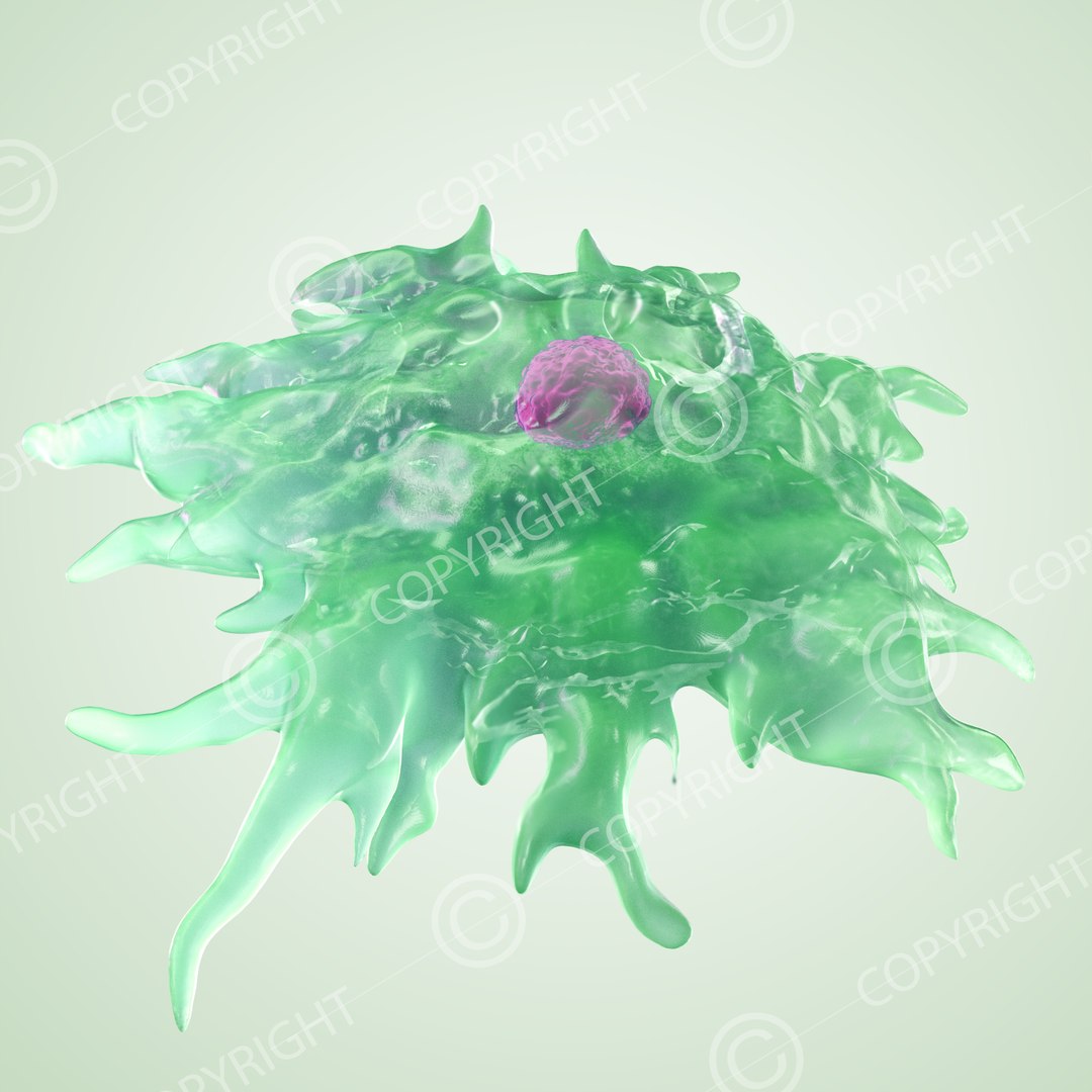 3D Science Model - TurboSquid 1372678