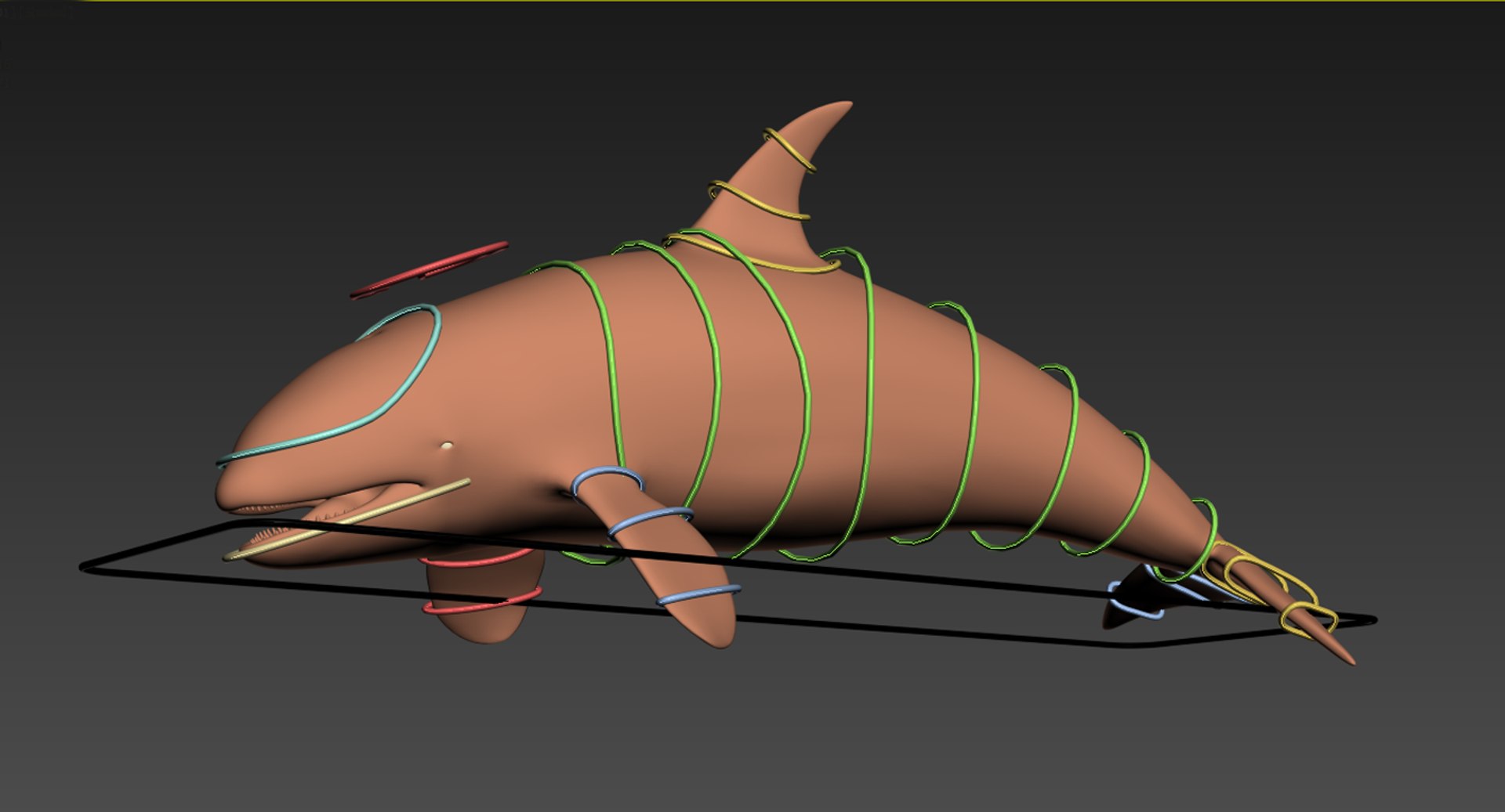 Realistic Killer Whale Orca 3d Max