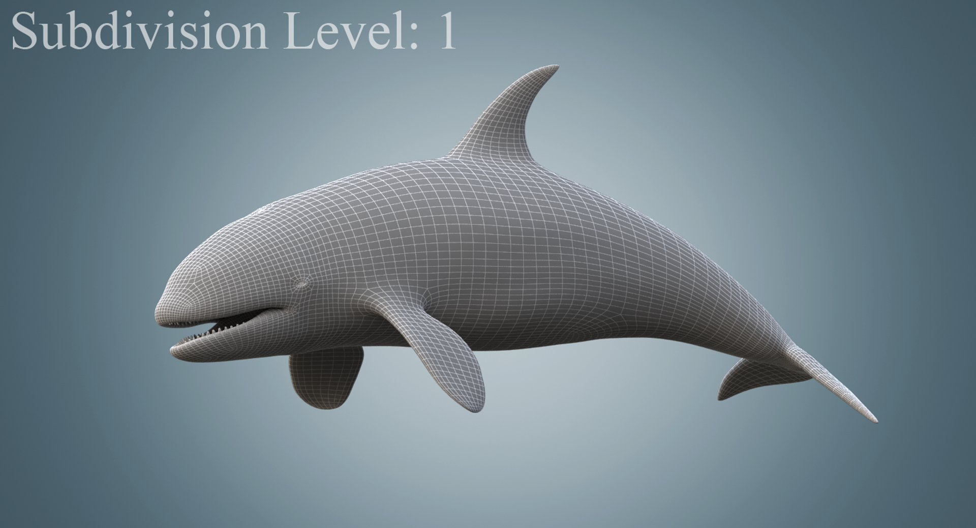 realistic killer whale orca 3d max