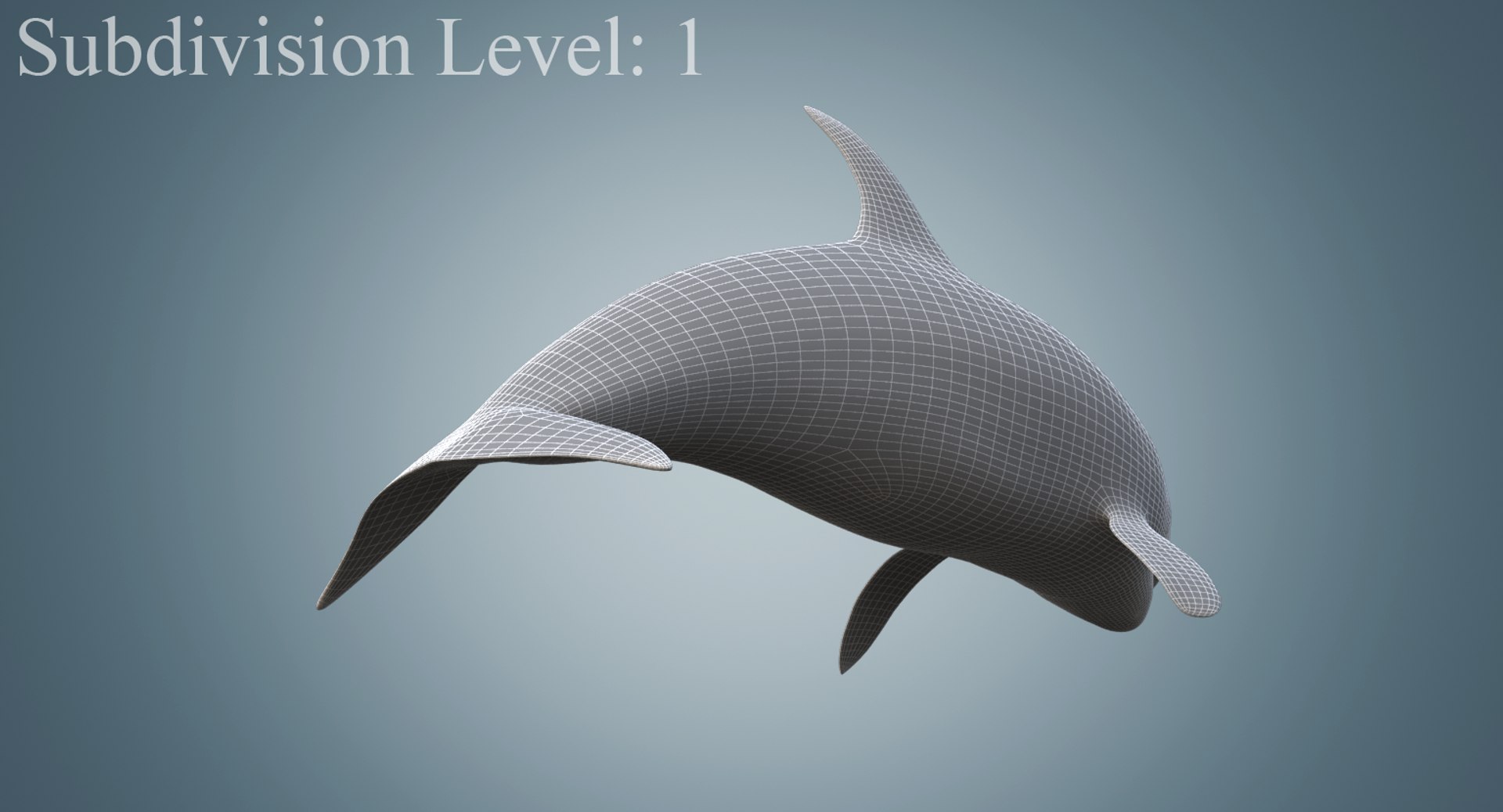 Realistic Killer Whale Orca 3d Max