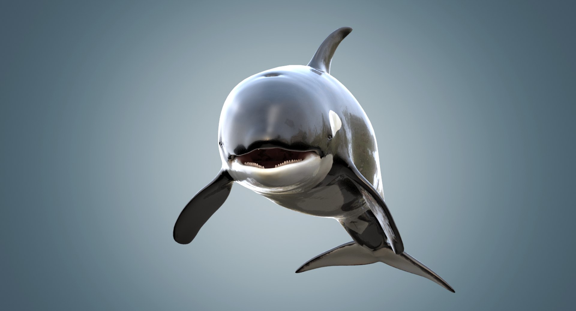 Realistic Killer Whale Orca 3d Max