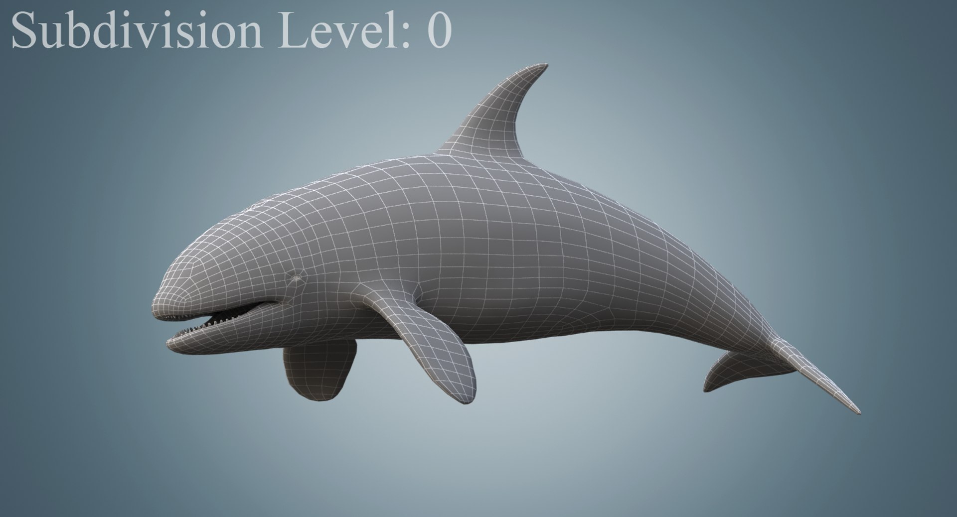 Realistic Killer Whale Orca 3d Max
