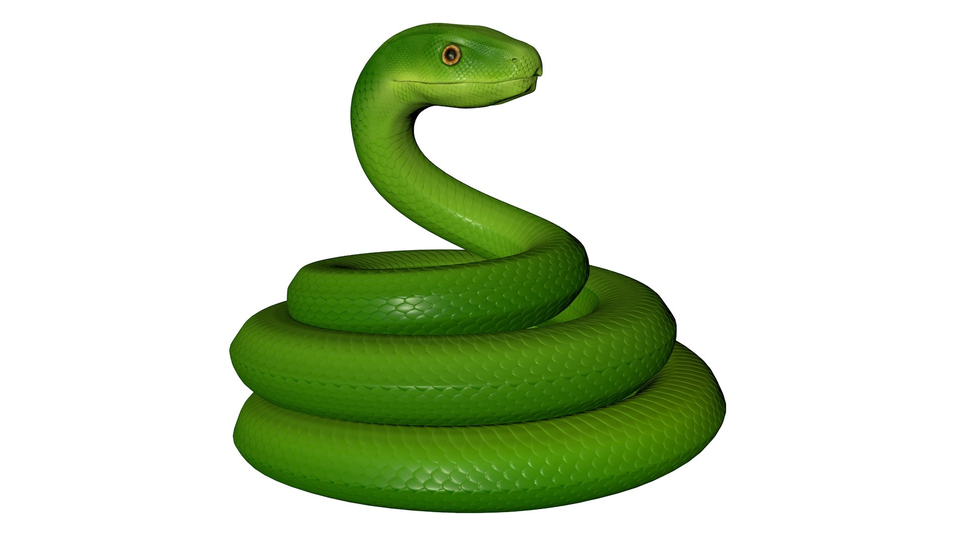 Green Snake 3D - TurboSquid 2320014