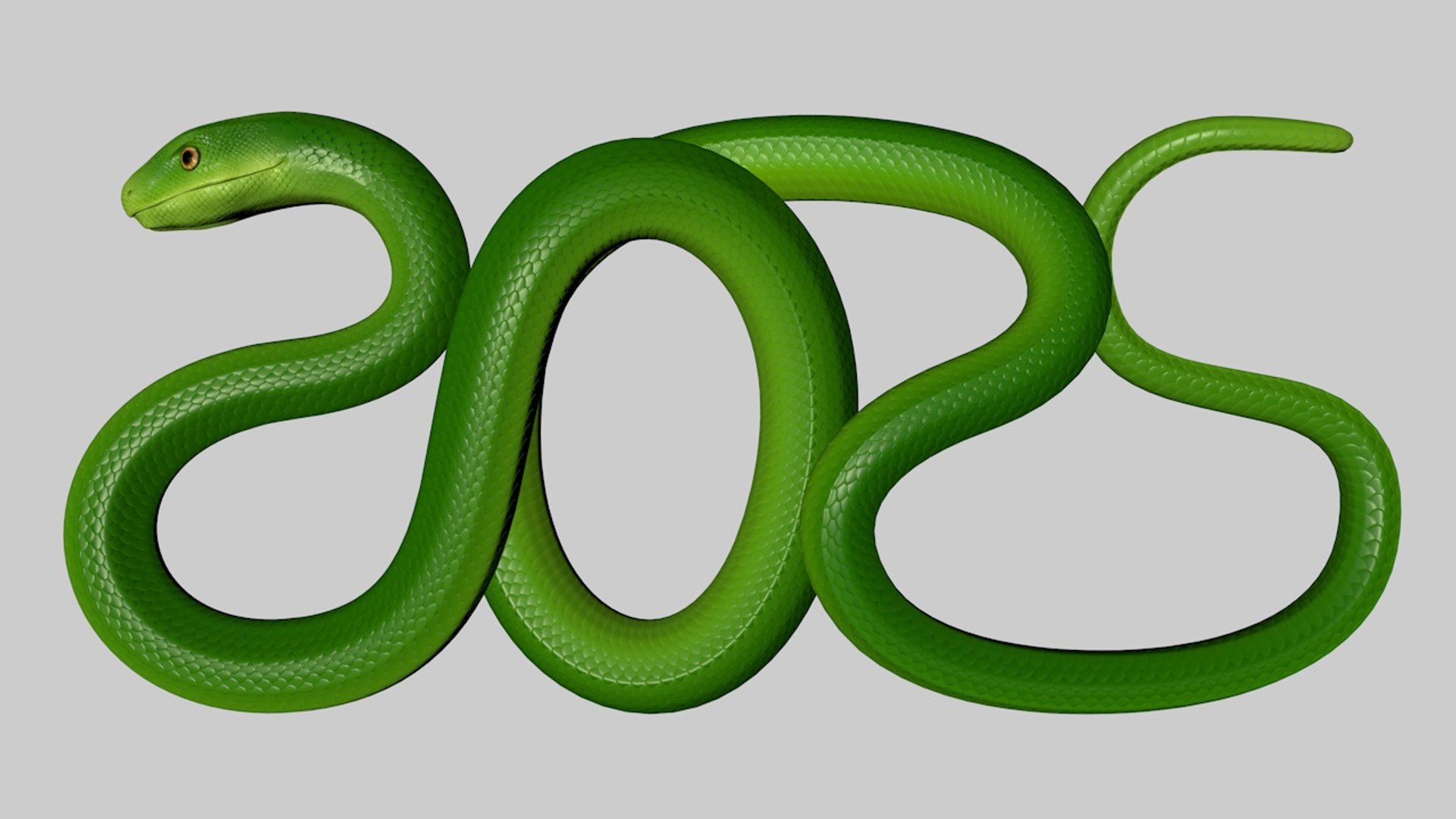 Green Snake 3D - TurboSquid 2320014